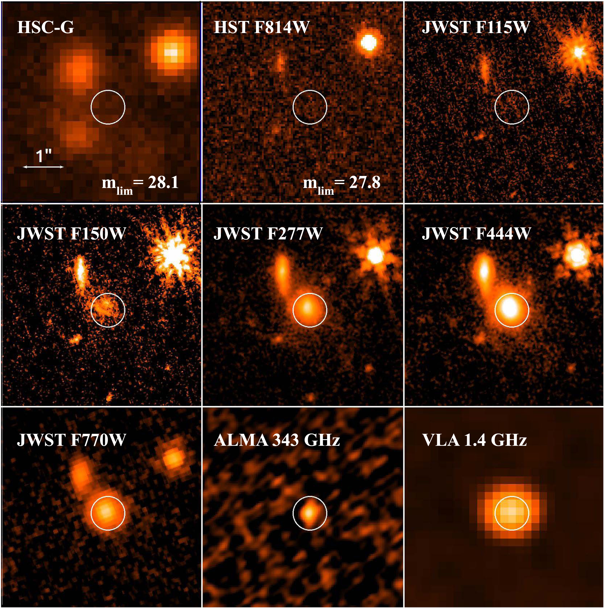 JWST Uncovers Most Distant Active, Obscured Radio Galaxy, Shedding ...